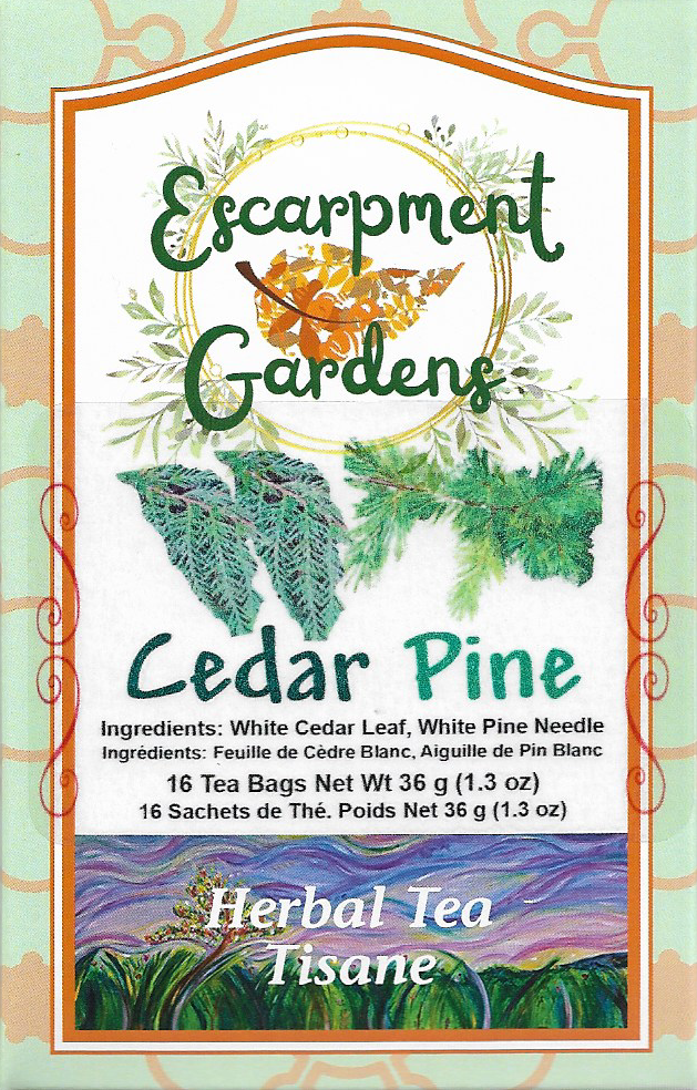 Cedar Pine Herbal Tea – Escarpment Gardens